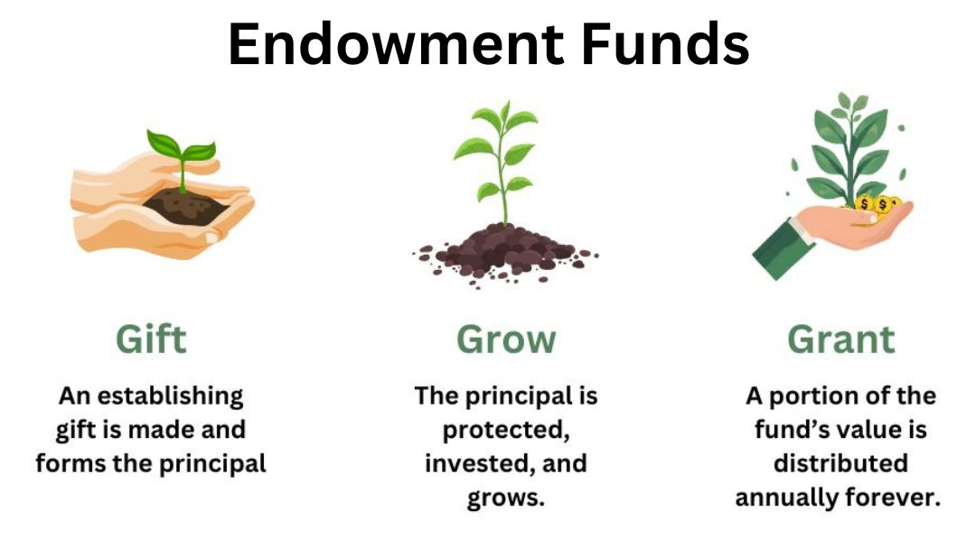 Make a Lasting Impact through Charitable Giving with Endowment Funds ...